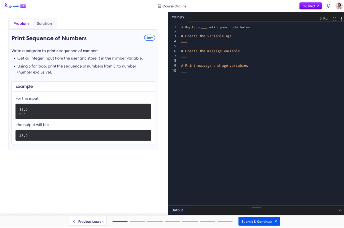 Coding for non-technical people | Programiz PRO
